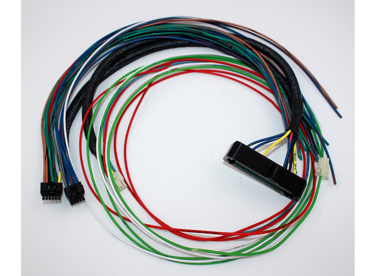 DD-EFI Installation Harness - Grand National – Digital Dash EFI