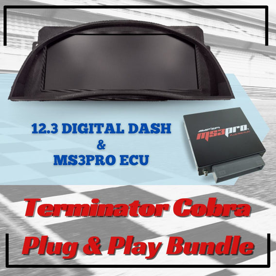 Bundle – Digital Dash EFI